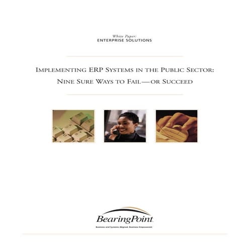 Implementing Erp In Public Sector Pdf