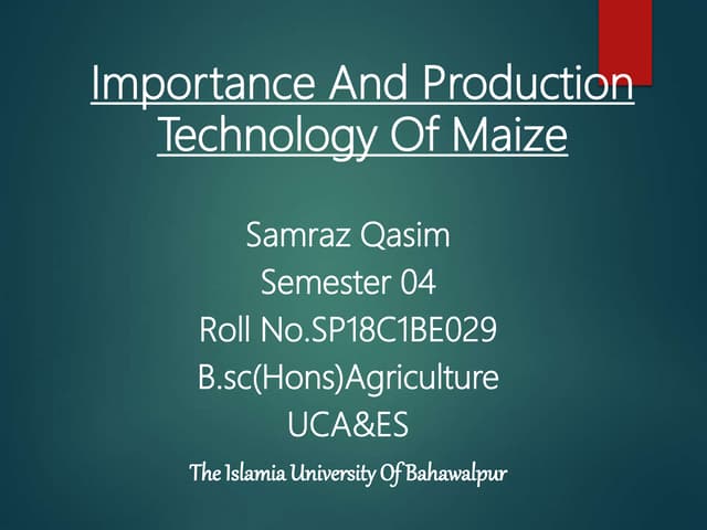 Maize production technology | PPTX