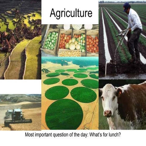 Importance of agriculture 2 | PPT | Agriculture | Industries