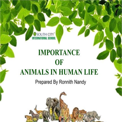 Importance of Animals in Human Life | PPTX