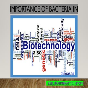 Importance of bacteria in biotechnology | PDF