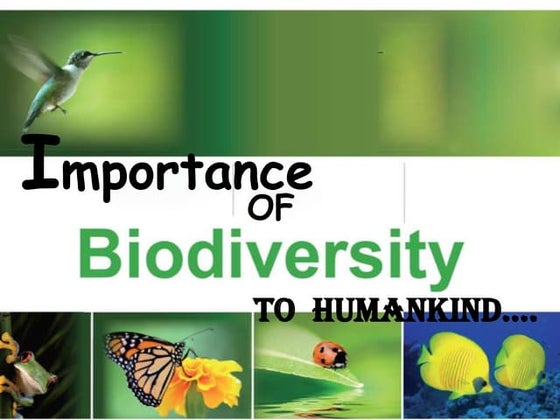 Bioresources and uses of biodiversity | PPTX | Biological Sciences ...