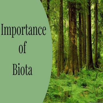 Importance Of Biota GRADE 7 PowertPoint.pptx