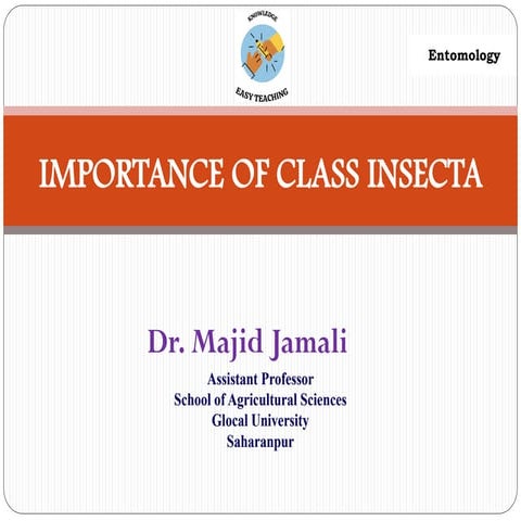 Importance of class insecta | PDF