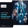 Importance of custom CRM development service for a company's success | PDF