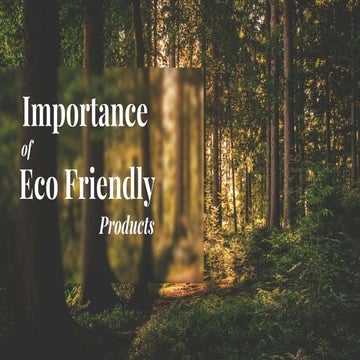 The Future is Green: Must-Have Eco-Friendly Products for a Sustainable ...