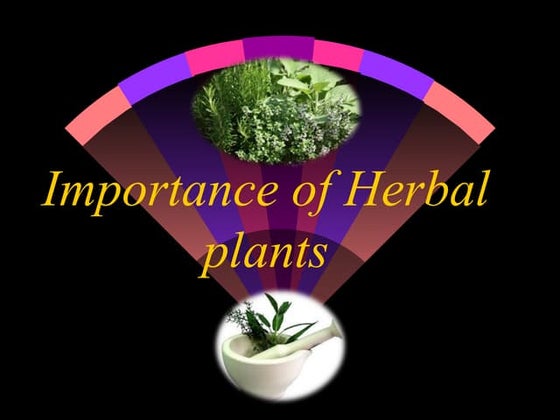 Medicinal plants importance,scope and uses. | PPT