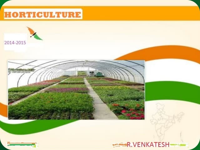 Importance of Horticulture.pptx