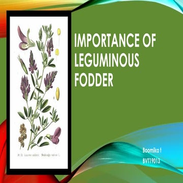 Agronomy importance of leguminous fodder.pptx