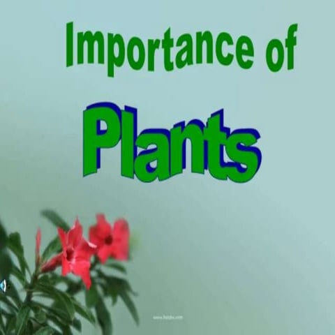 Importance of plants | PPTX