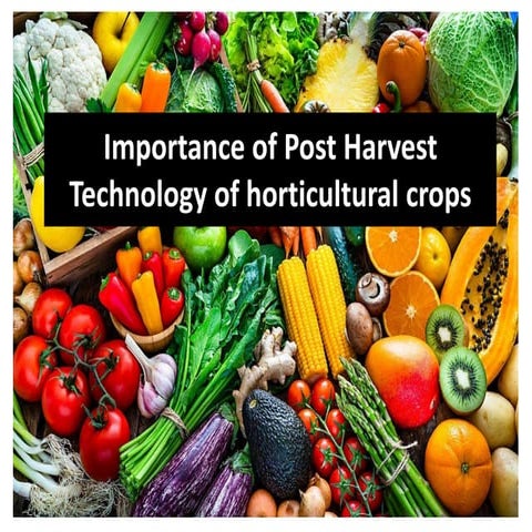 Importance of post harvest technology in fruits and vegetables.pptx