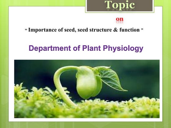 SEED GERMINATION- CLASS-V ENVIRONMENTAL STUDIES | PPTX