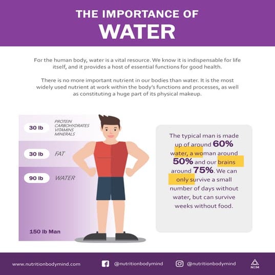 The Importance of Water | PPTX