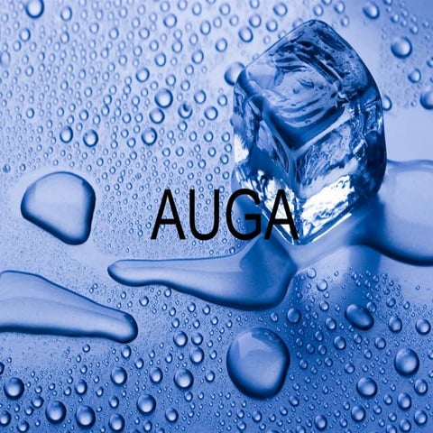 IMPORTANCIA DA AUGA | PPT