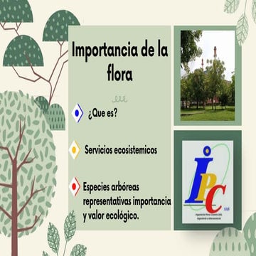 Importancia de la flora (1).pptx