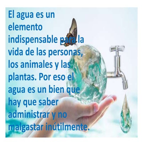 La importancia del agua para la vida | PPT