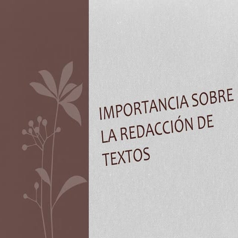 Importancia Sobre La Redaccin De Textos
