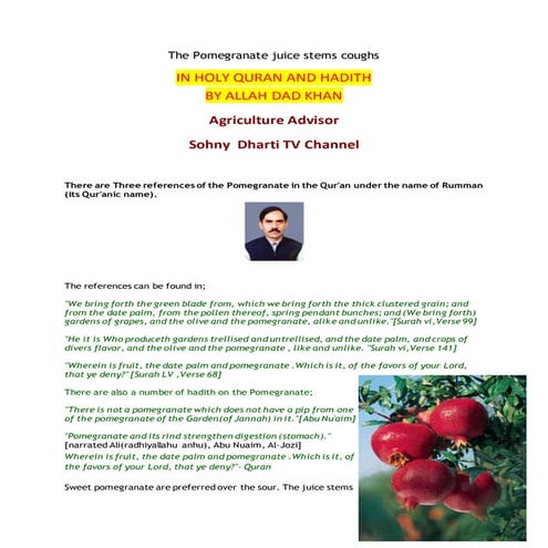 Quranic plants and hadith By Allah Dad Khan | PPTX