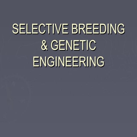 selective breeding and genetic engineering | PPT