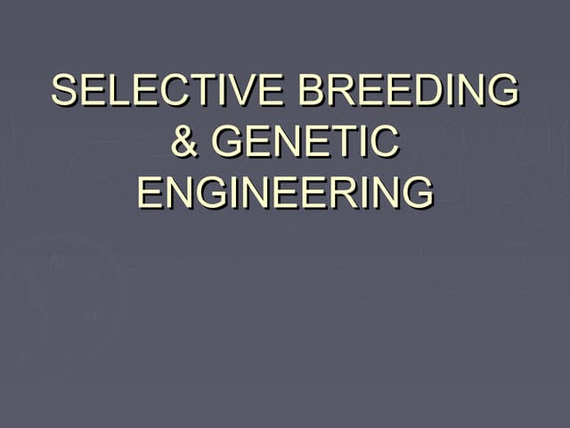 Selective Breeding | PPTX