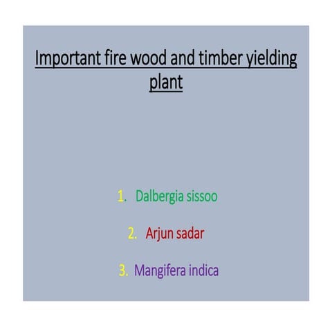 Reaction wood | PPT