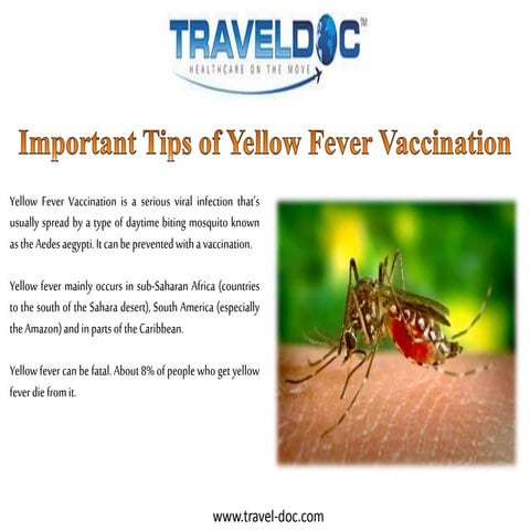 Important Tips of Yellow Fever Vaccination | PPTX