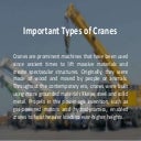 Important types of cranes | PPTX