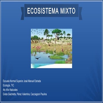 Ecosistema Mixto. Cacciagioni, Giachetta y Pérez. | PPTX