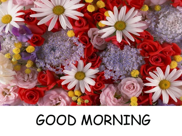 Impression for CD | PPTX