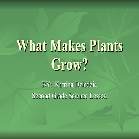 Chapter 2 what do plants need to grow | PPTX