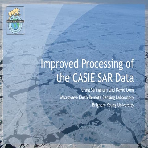 Improved Processing of the CASIE SAR Data.pdf | Science
