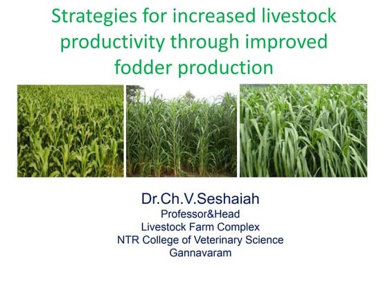 Unit 16 Classification of feed stuff.pptx