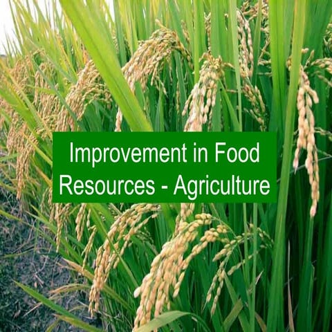 Improvement in food | PPT