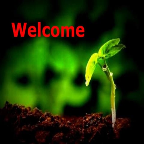 Improving photosynthesis by chloroplast engineering | PPTX