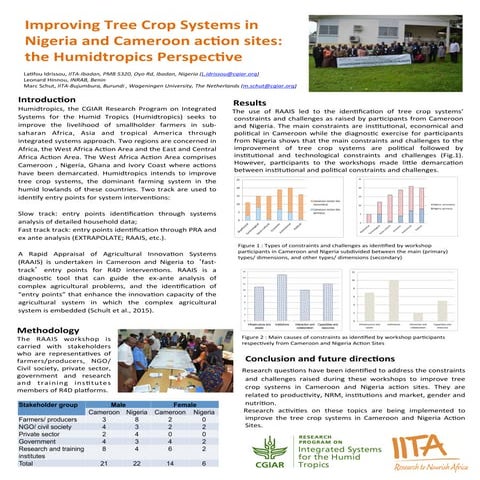 Improving tree crop systems in Nigeria and Cameroon action sites: the ...