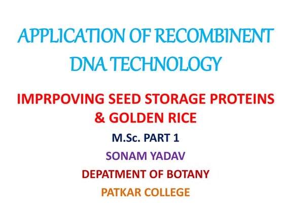 GOLDEN RICE; The genetically modified crop in India | PPTX