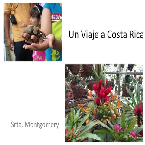 Nuestro viaje a costa rica | PPTX