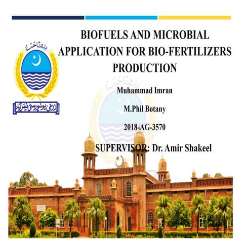 Biofuels and microbial application for biofertilizer production | PPTX