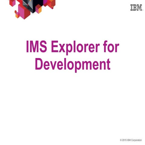 IMS explorer for development | PDF