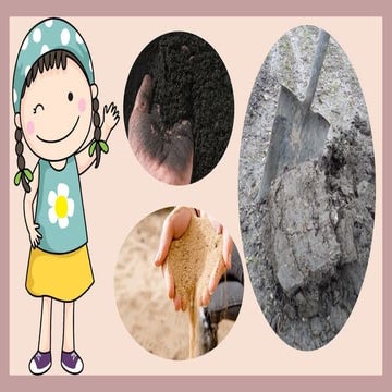 power point presentation for grade 4 science | PPTX