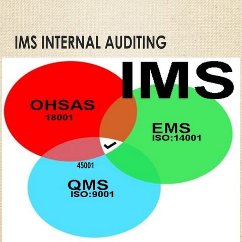 IMS INTERNAL AUDITPrinciples of internal audits, phases of audit ...