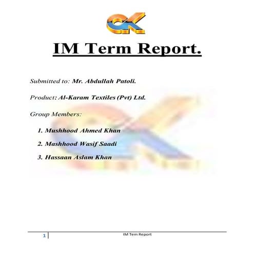 Information Management Term Report. | DOCX