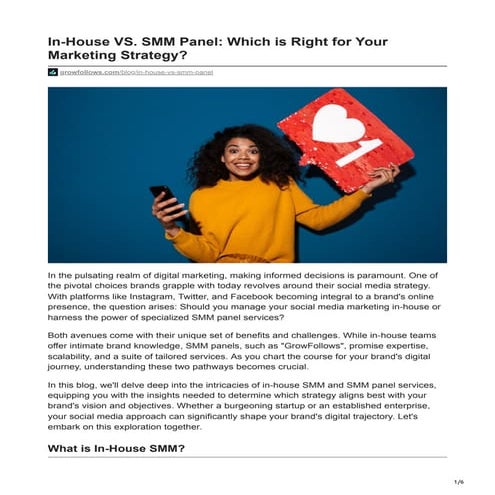 In-House VS SMM Panel Which is Right for Your Marketing Strategy.pdf