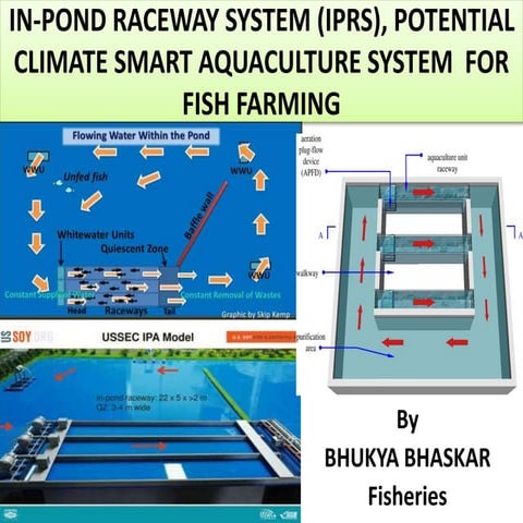IN-POND RACEWAY SYSTEM IPRS FOR CLIMATE SMART AQUACULTURE by B.pptx