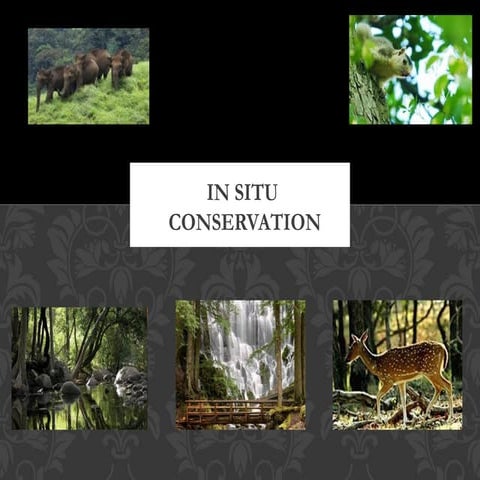 In situ and ex situ conservation | PPSX