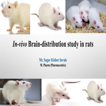 In vivo brain-distribution study in rats | PPT