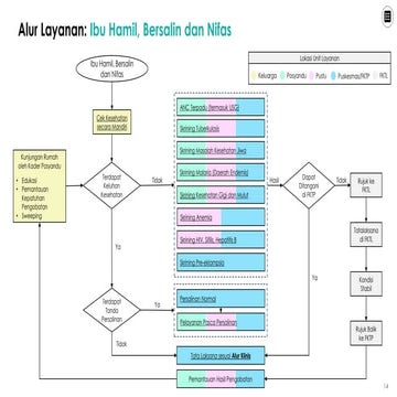 INA Care Pathwaydiagram SOP diagram SOP.pdf