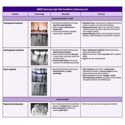INBDE High-Yield Cwetweonditions to Know.pdf