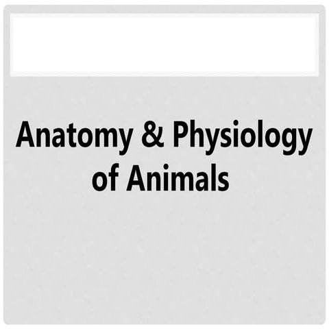 Fundamentals of programming and data types | PPT