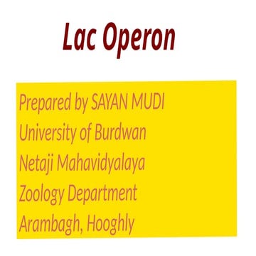 Comprehensive Overview of Ammunition Types and Cartridge ...
